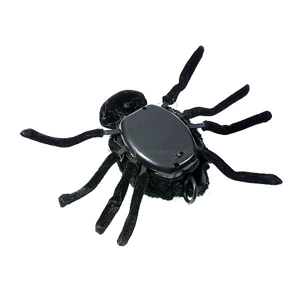 Sound Activated Scary Moving Spider Drops from the – Wholesale Sound ...