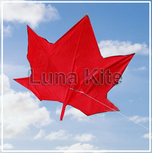 maple leaf kite easy to flyFashion flying kite – Wholesale maple leaf ...