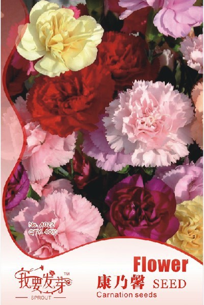 Mix Mini 5 perennial flower carnation seed package – Wholesale Mix Mini ...